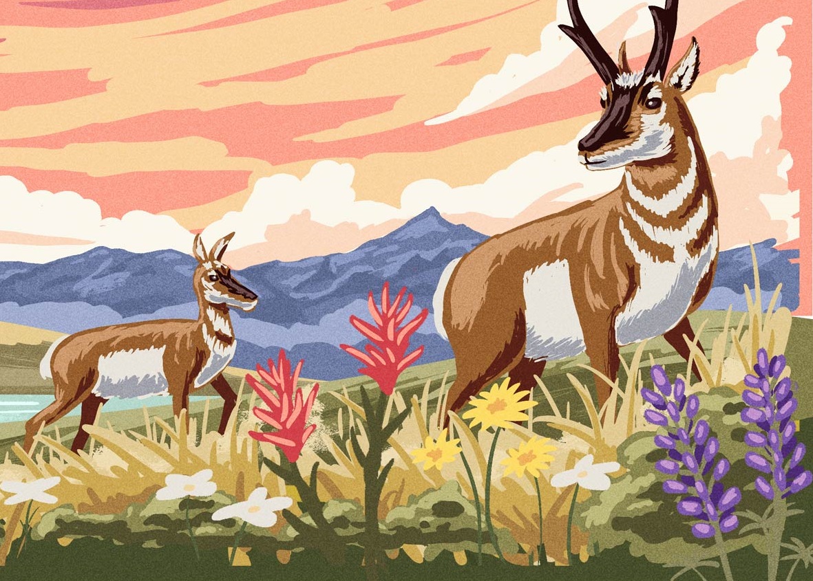 High Desert Museum | Things to do in Bend Oregon